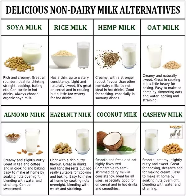 What foods can replace milk?