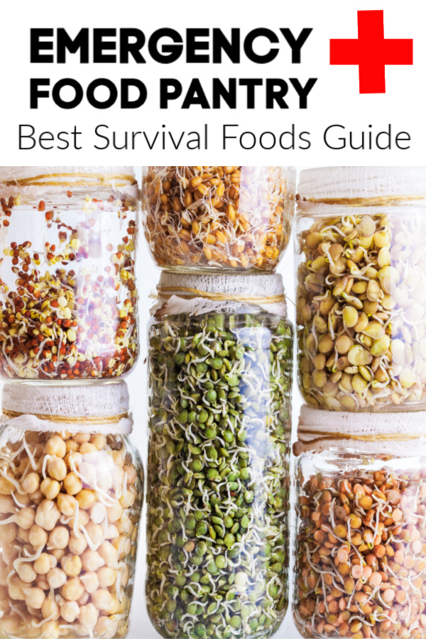 What foods can you store for long term survival?