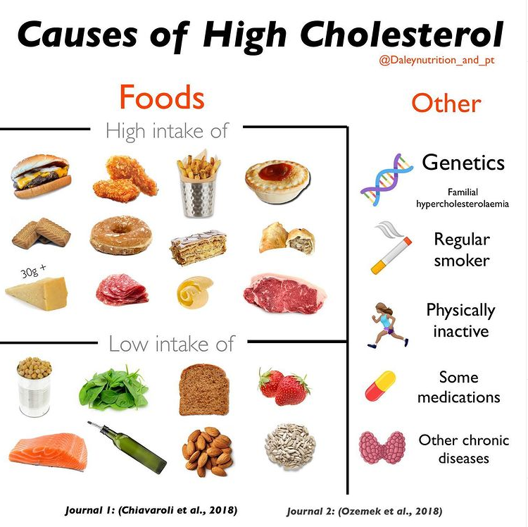 What foods cause high LDL?