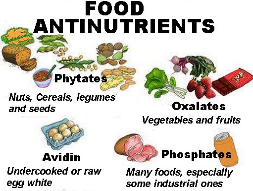 What foods contain antinutrients?