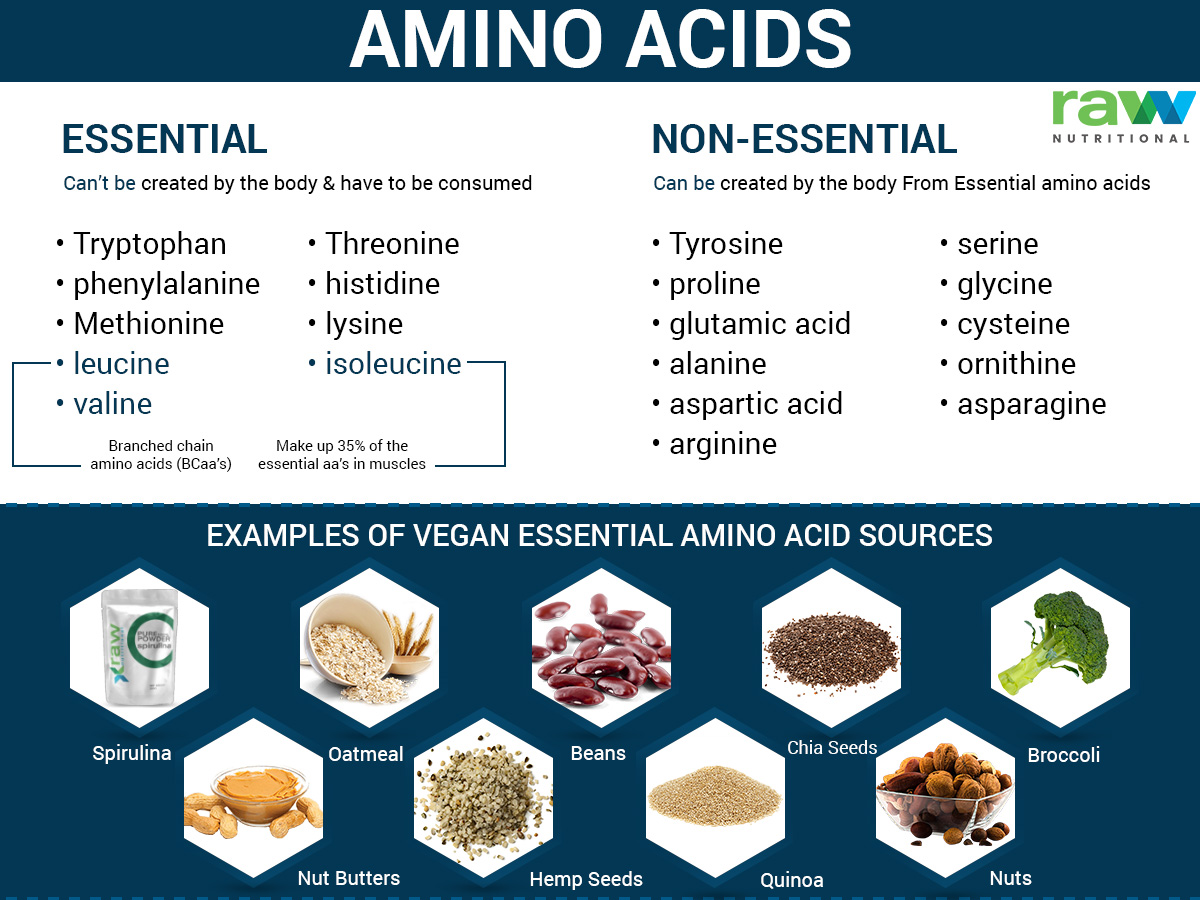 What foods contain the essential amino acids?