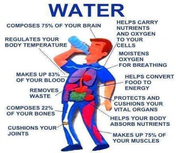 What foods count as water?
