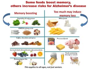 What foods damage your memory?