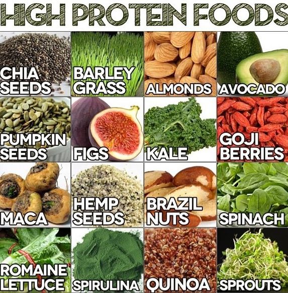 What foods have a lot of protein besides meat?