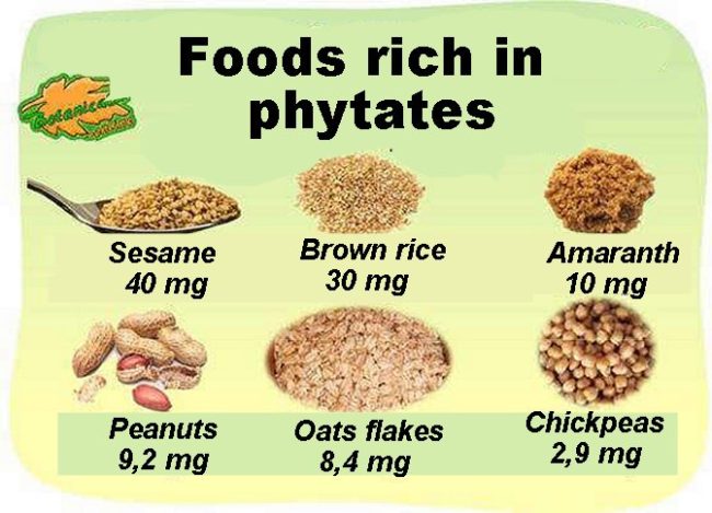 What foods have no phytates?