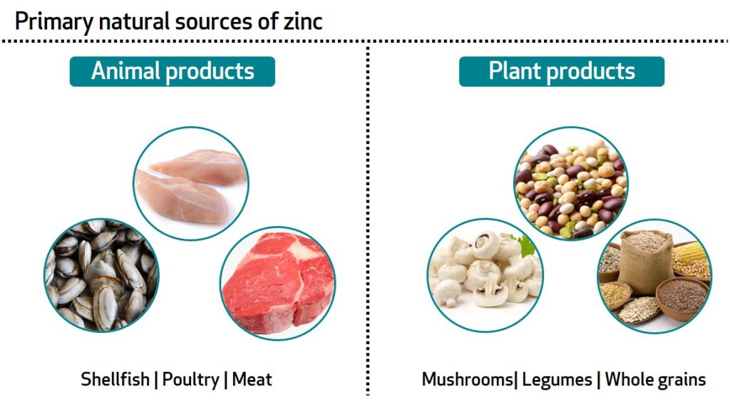 What foods interfere with the absorption of zinc?