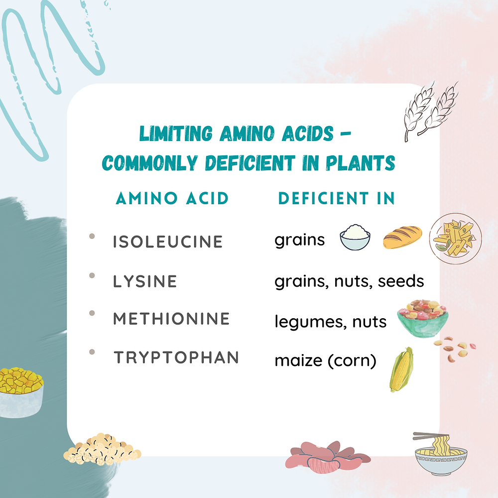 What foods lack one or more essential amino acids?