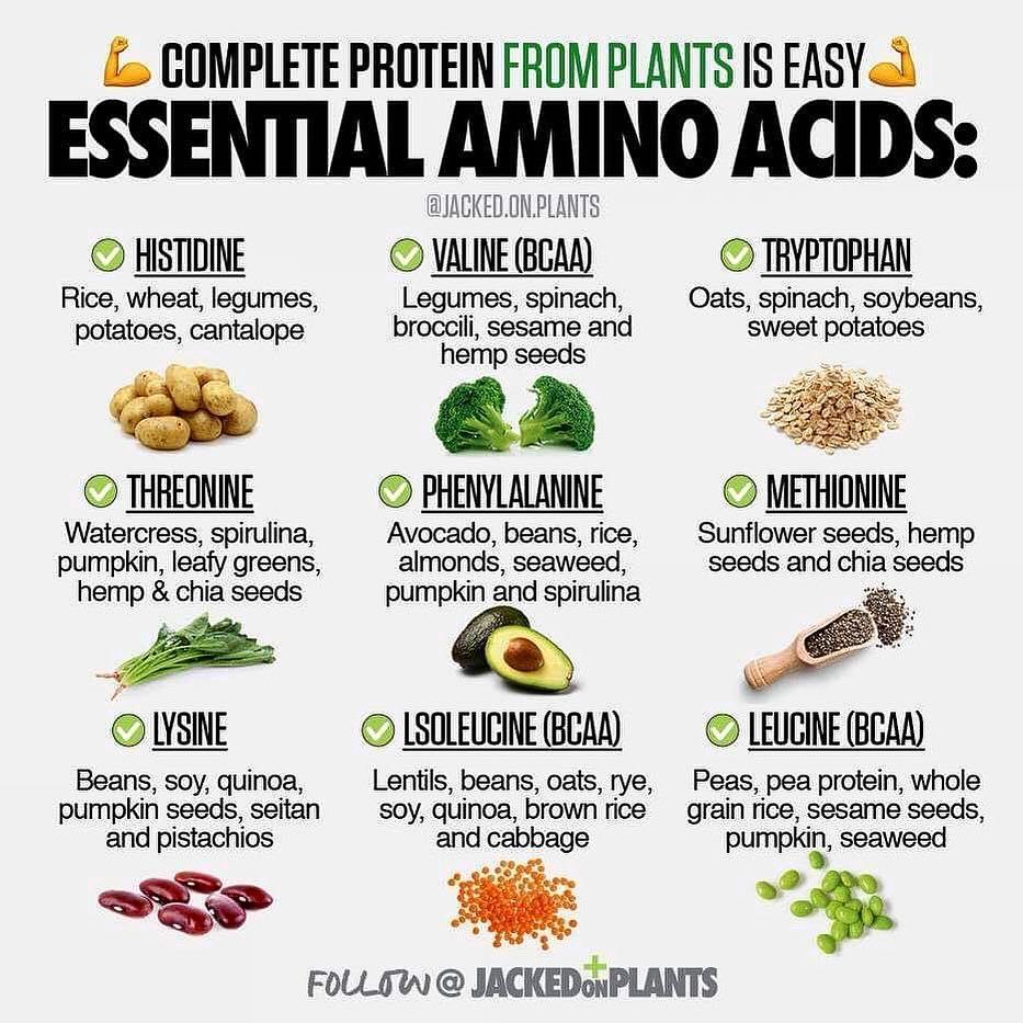 What foods provide the 9 essential amino acids?