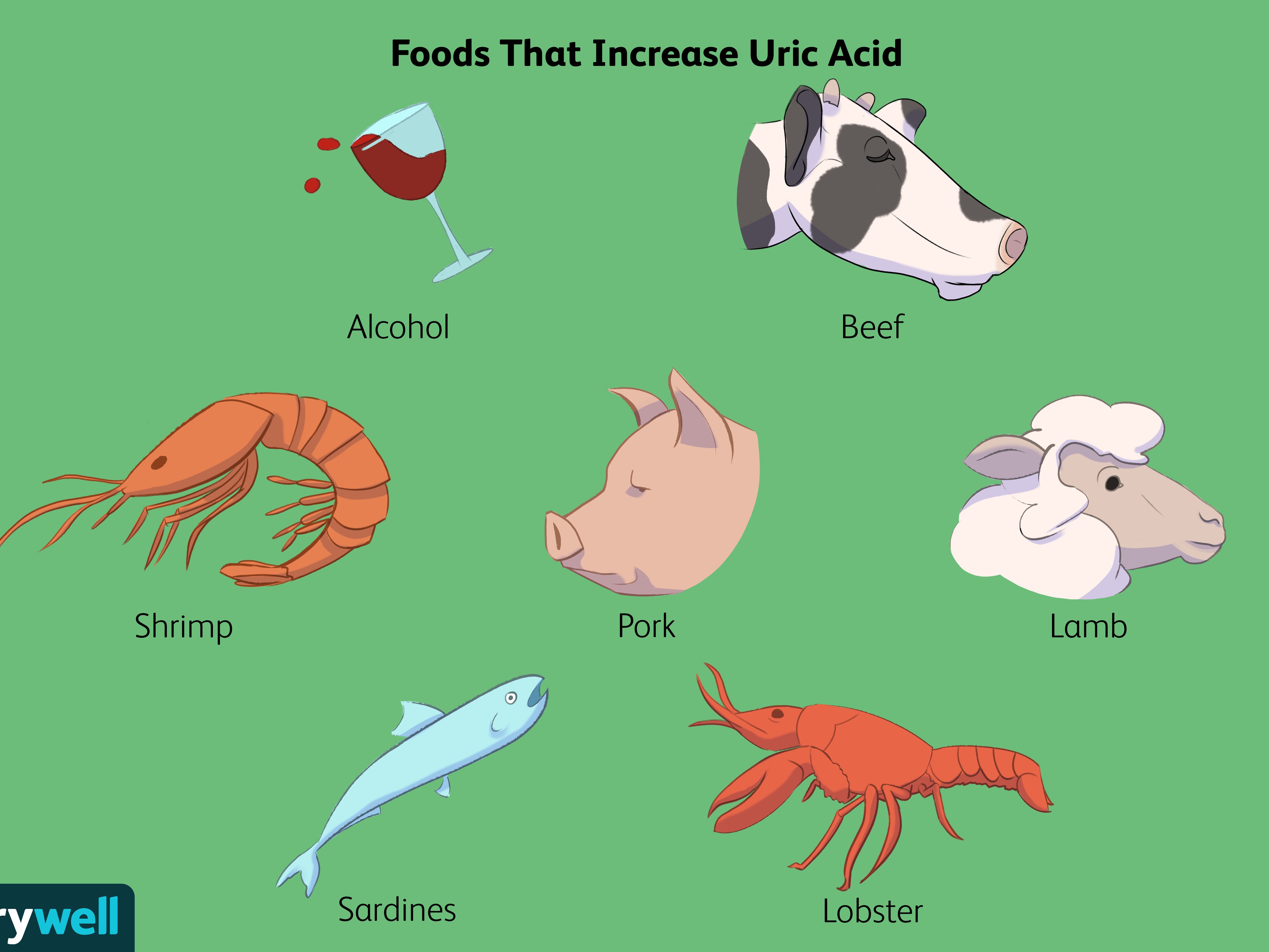 What foods raises uric acid?