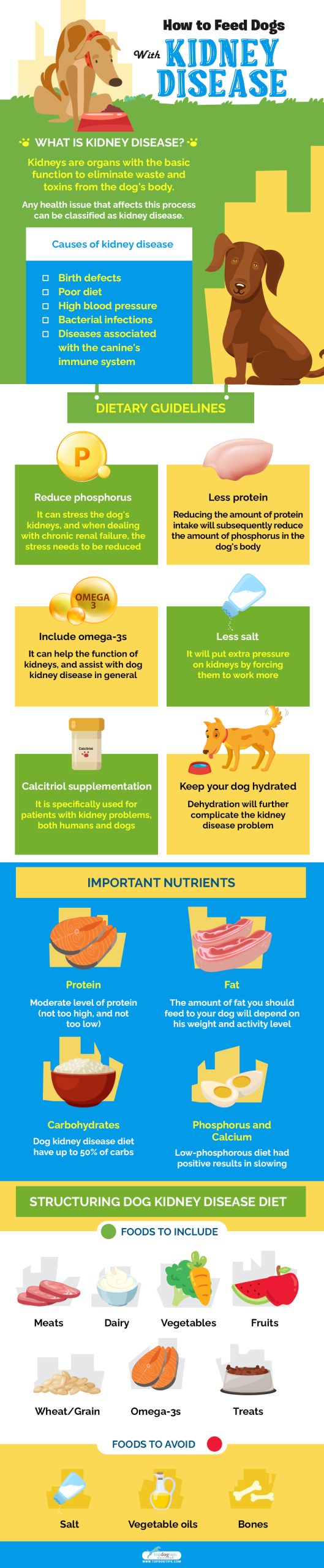 What foods should dogs with kidney disease avoid?