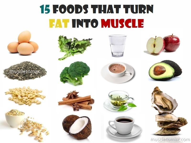 What foods turn fat into muscle?