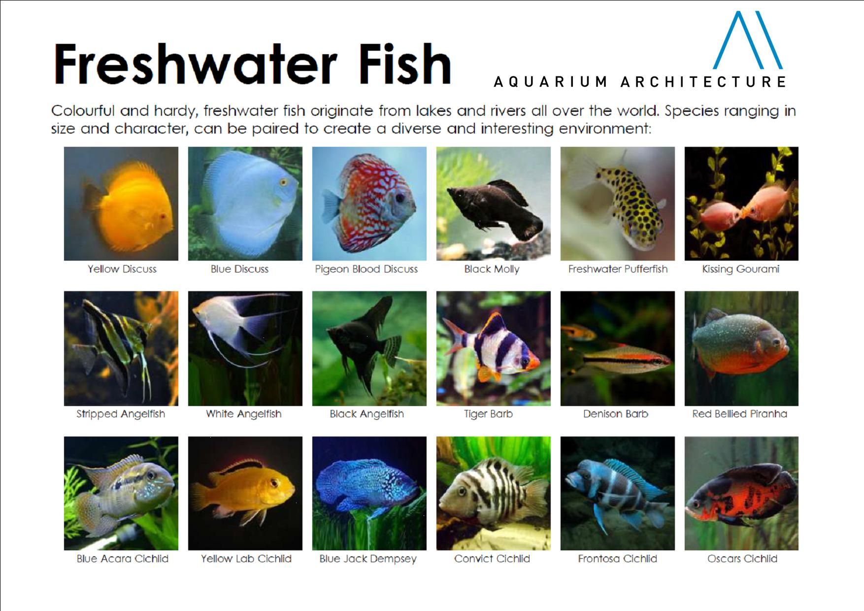 What freshwater fish are saltwater?