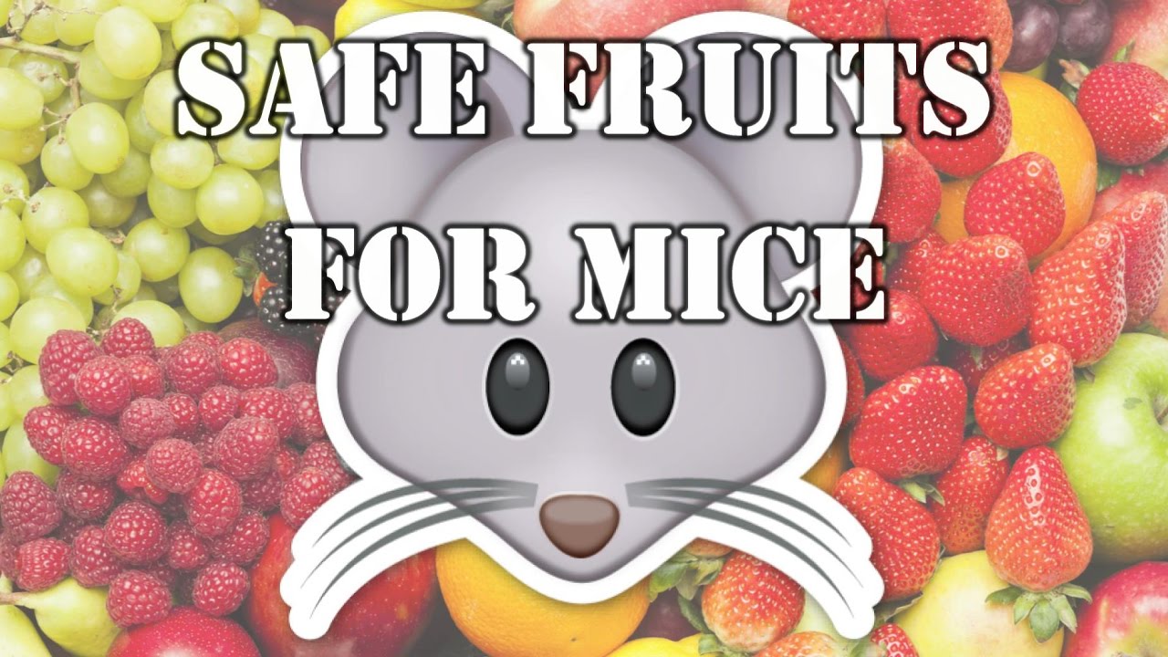 What fruits and veggies are safe for mice?