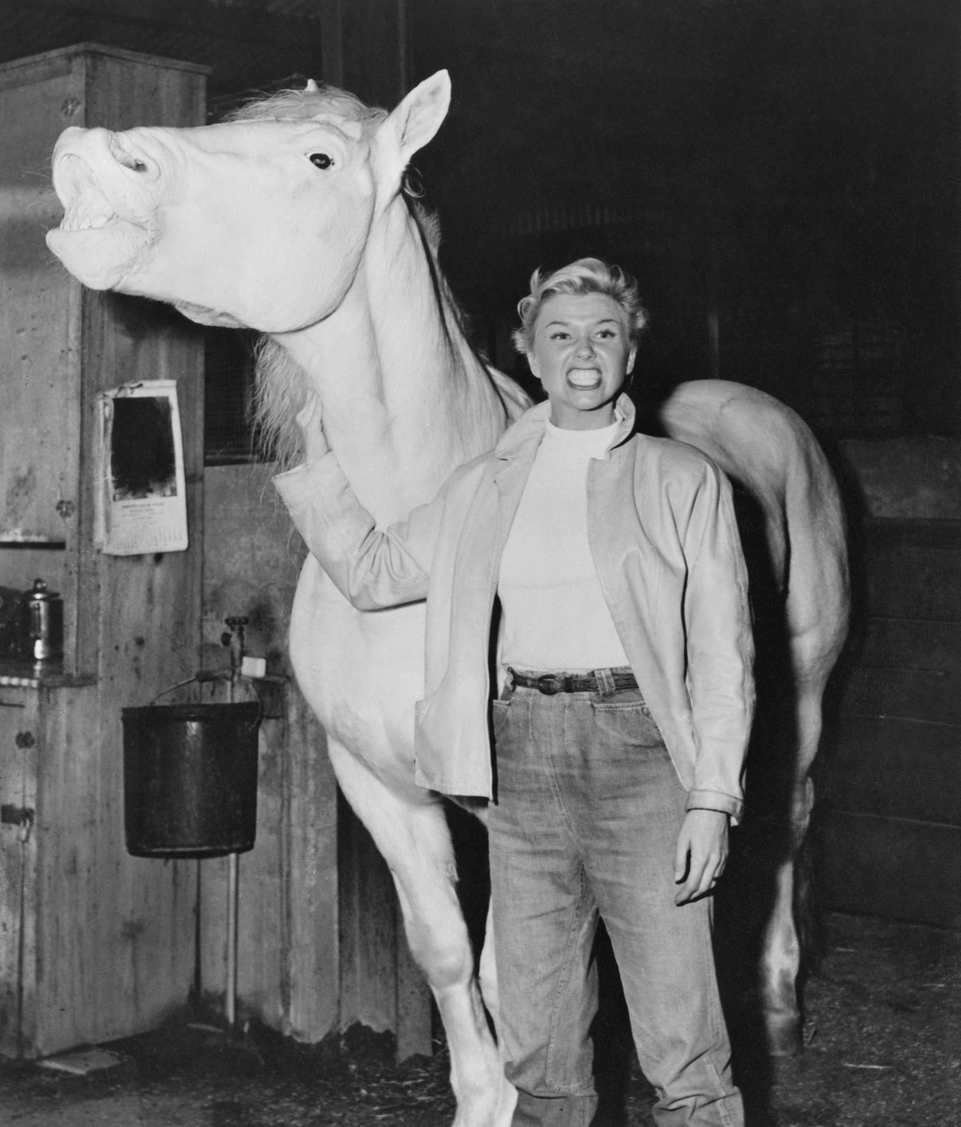 What happened to Doris Day’s horse?