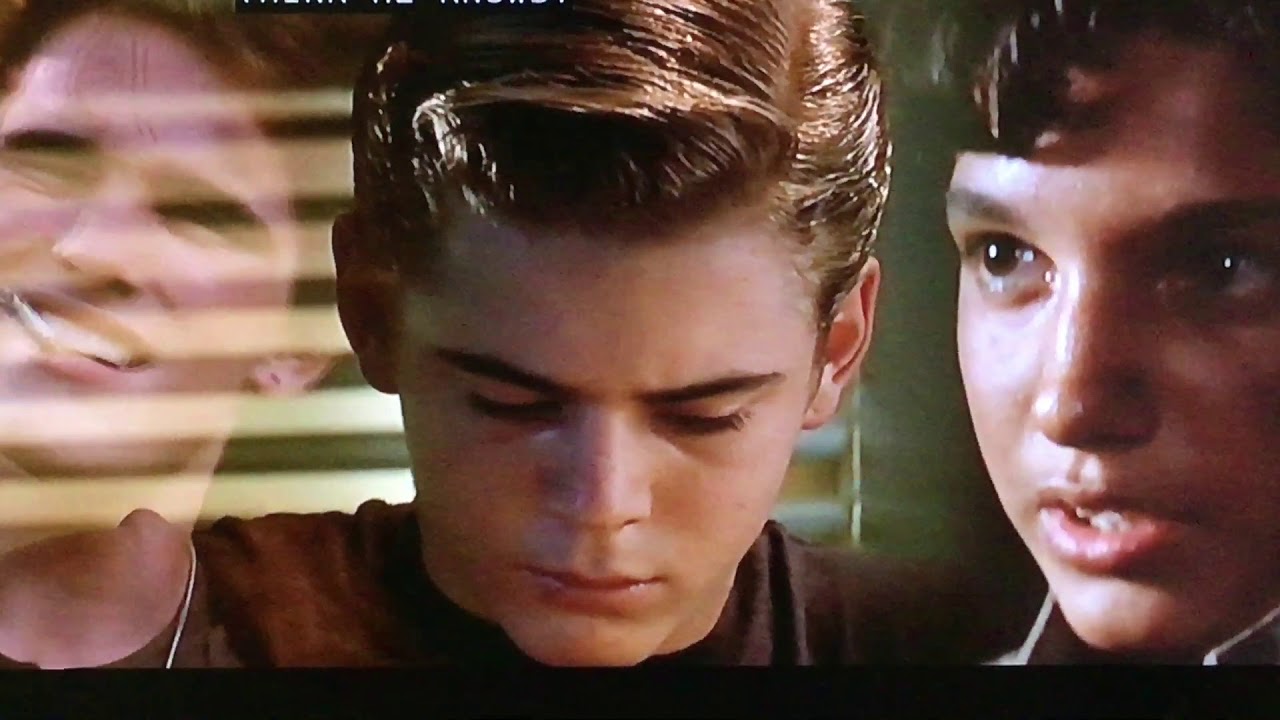 What happened to Ponyboy at the end of The Outsiders?