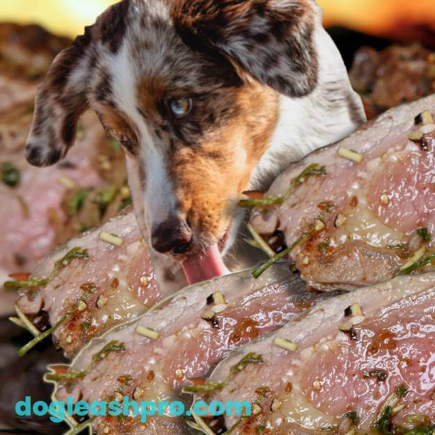 What happens if a dog eats frozen meat?