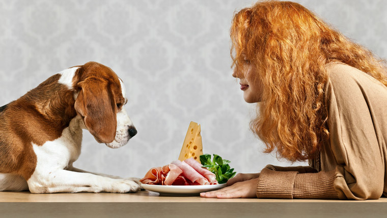 What happens if a dog eats ham?