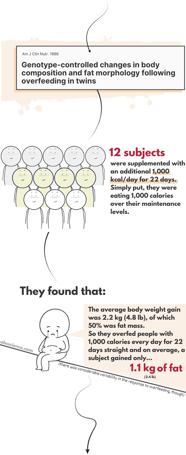 What happens if overeat one day?
