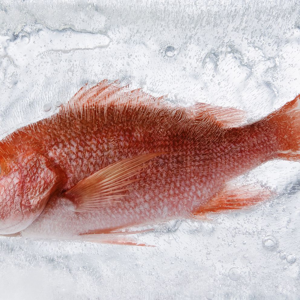 What happens if seafood is refrozen?