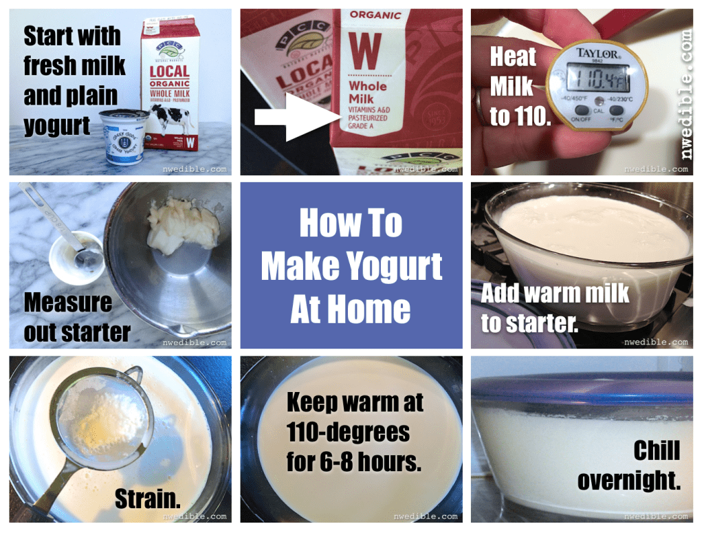 What happens if you boil yogurt?