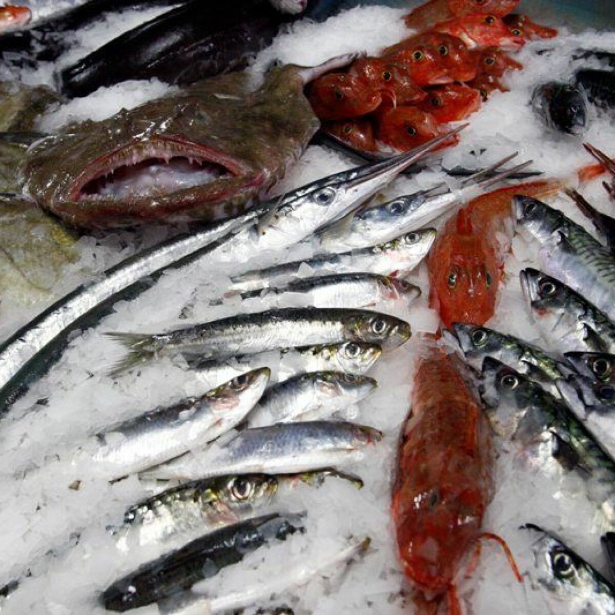 What happens if you cook and eat spoiled fish?