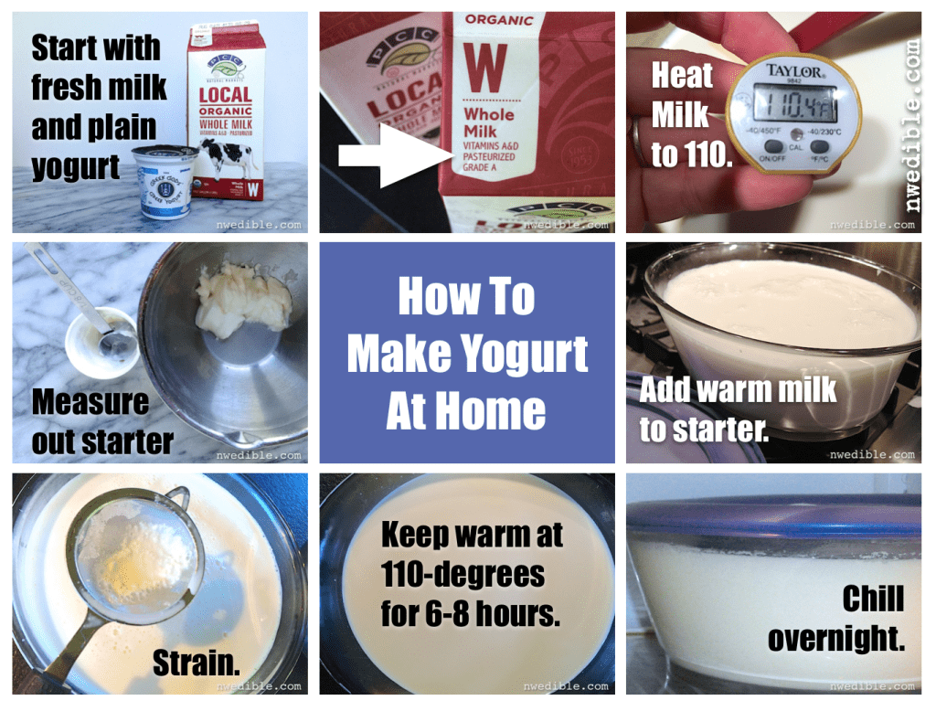 What happens if you cook yogurt?