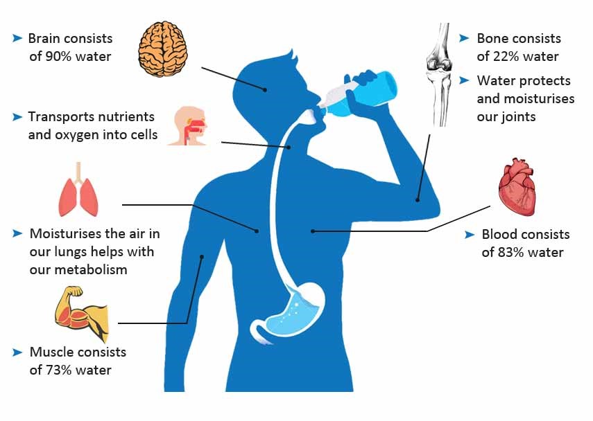 What happens if you don't drink enough water for a long time?