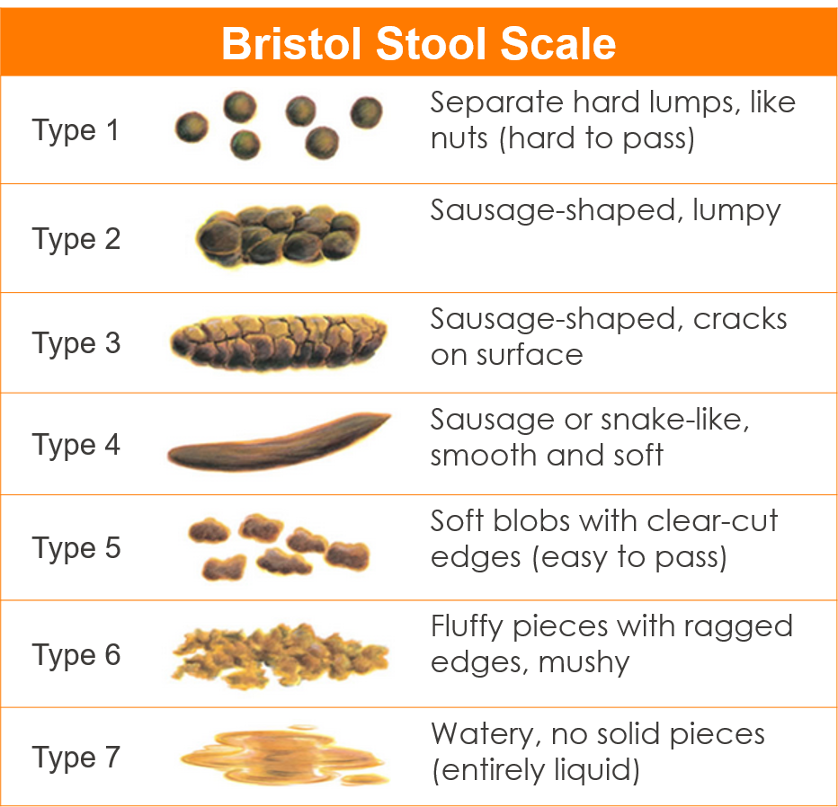 What happens if you don't poop for 2 weeks?