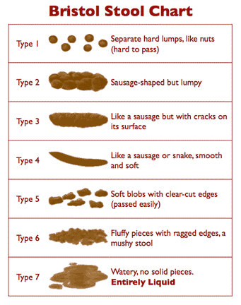 What happens if you don't poop in 3 days?