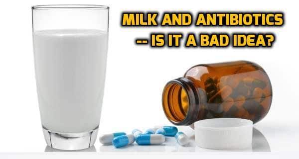 What happens if you drink milk while taking antibiotics?