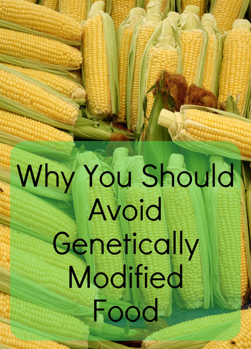 What happens if you eat food with GMO?