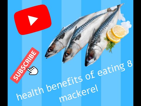 What happens if you eat mackerel fish everyday?