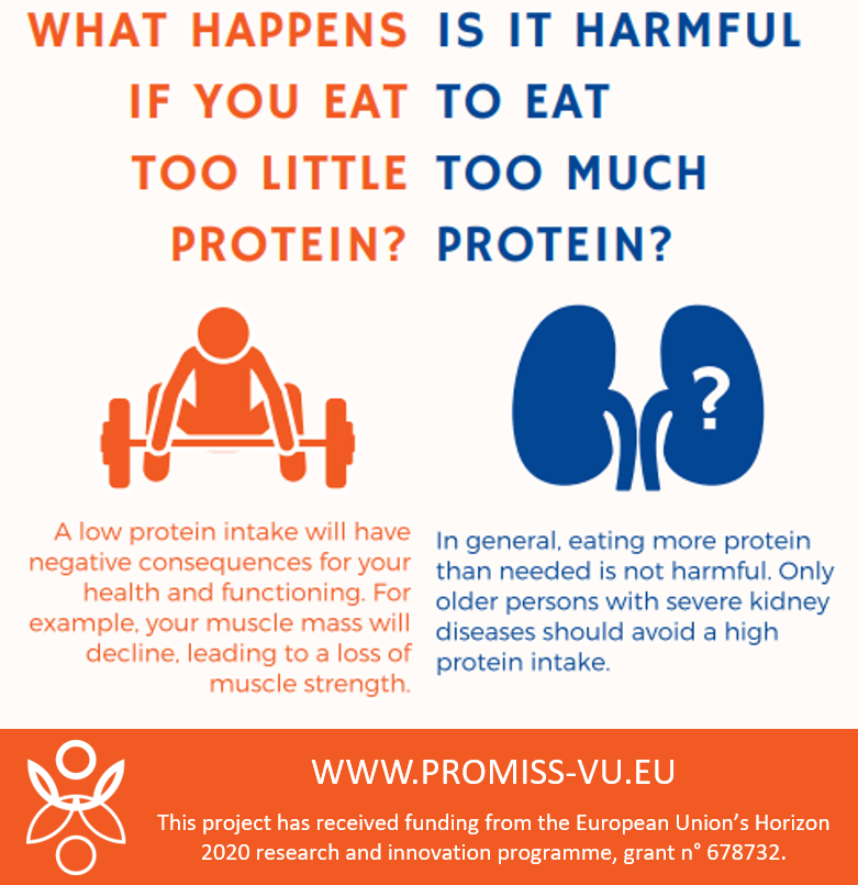 What happens if you eat too little protein?