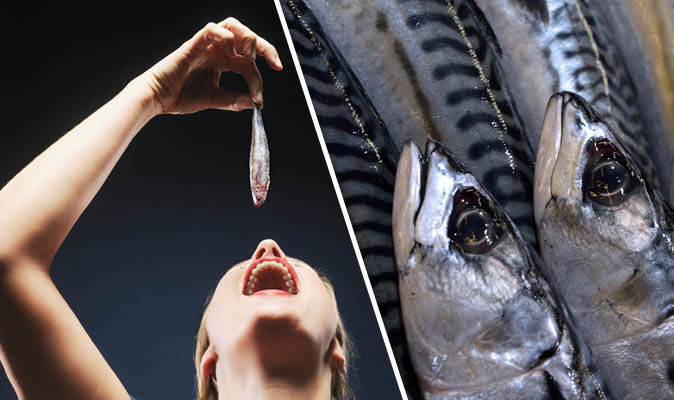 What happens if you eat too much oily fish?