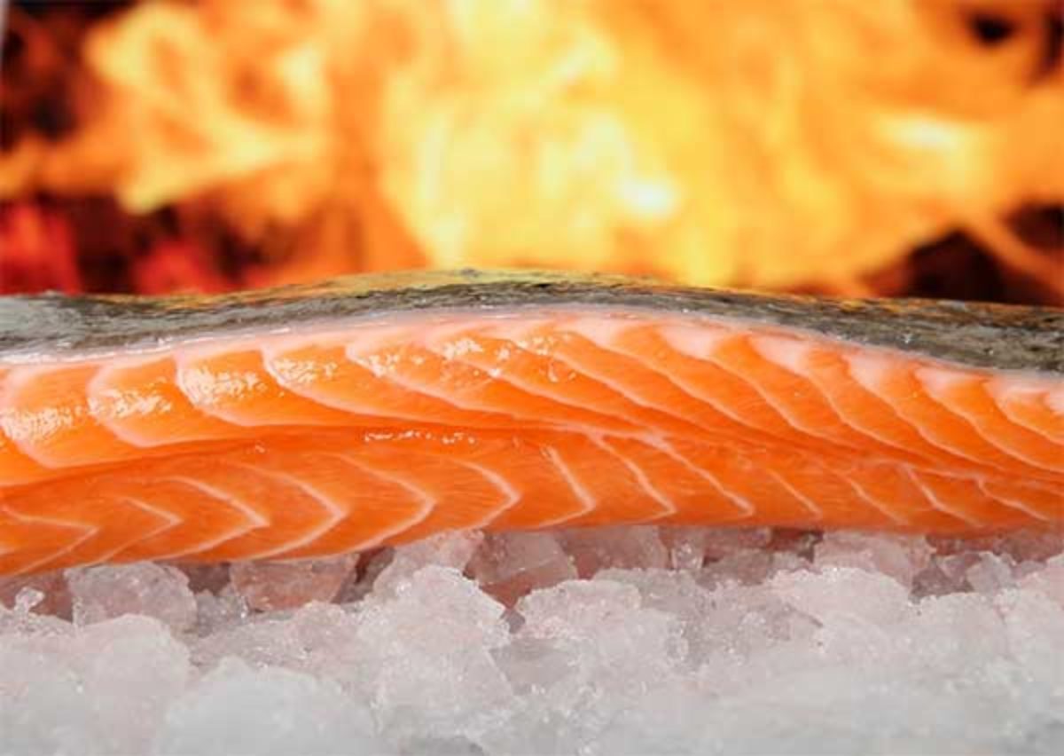 What happens if you freeze salmon twice?