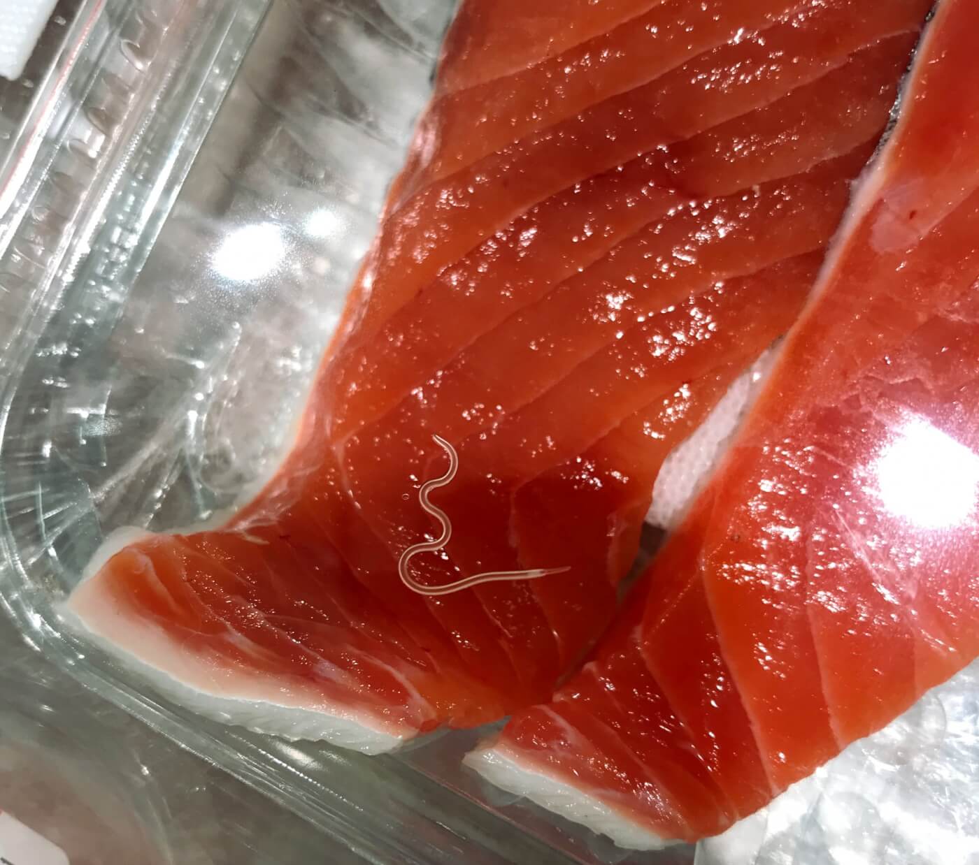 What happens if you get parasites from salmon?