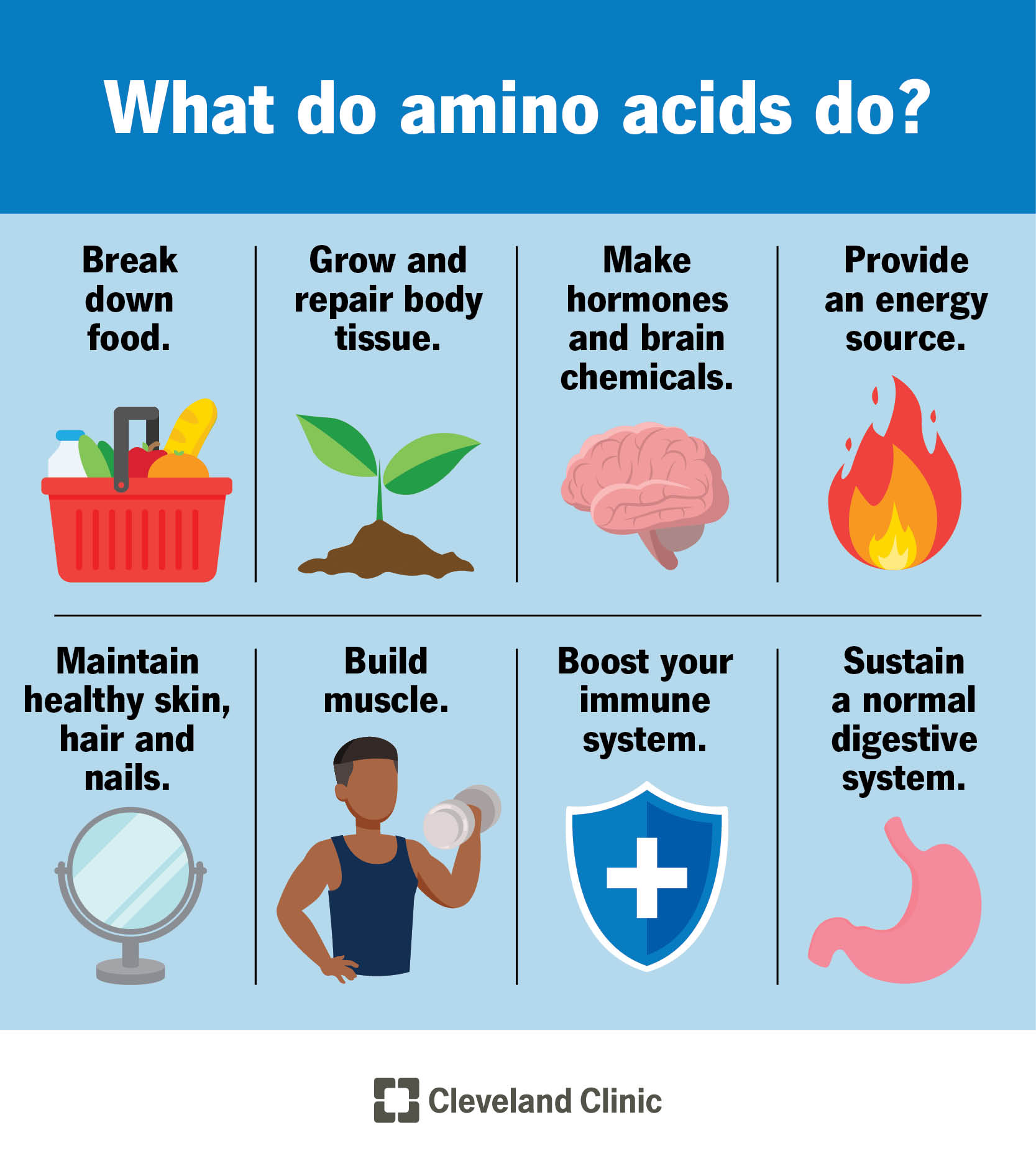 What happens if you only eat amino acids?