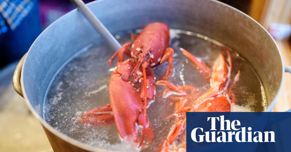 What happens if you put a lobster in water?