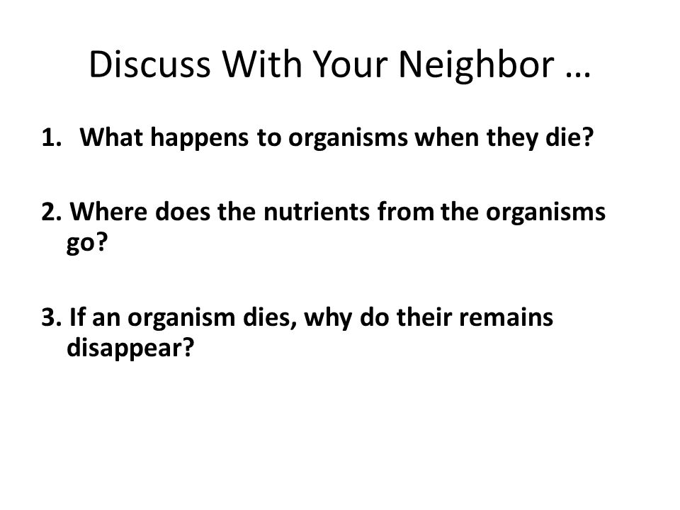 What happens to an organism when it dies?