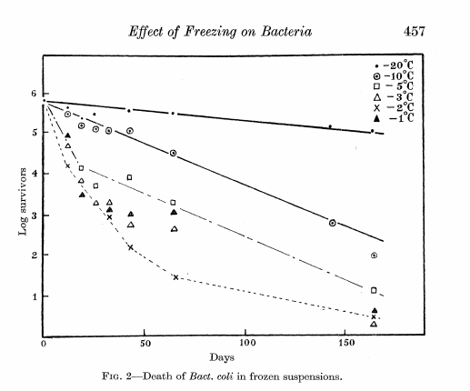 What happens to bacteria when they freeze?