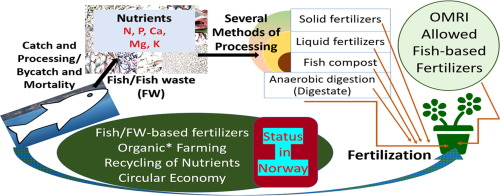 What happens to fish waste from fish processing farms?