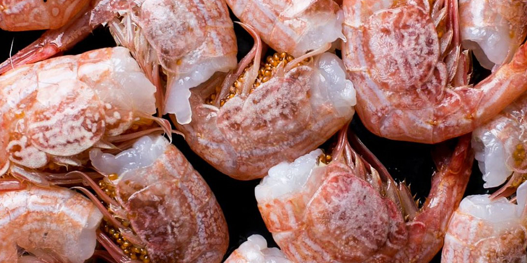 What happens to spot prawns with their roe still attached?