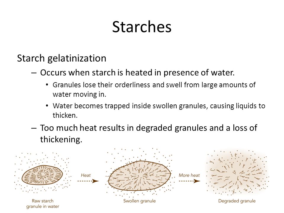 What happens to starch when heated?