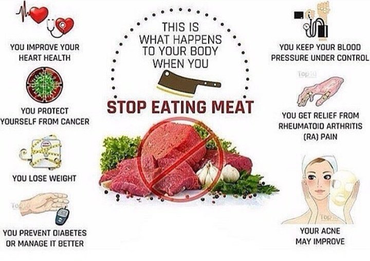 What happens to the body when you stop eating meat?