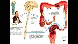 What happens to your body when you are severely constipated?