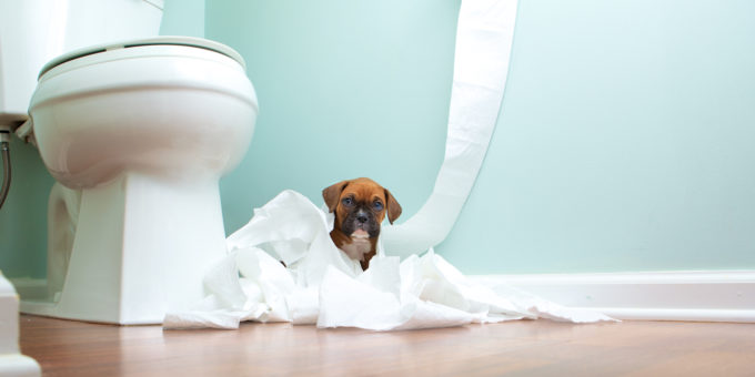 What happens to your body when you don’t go to the toilet?