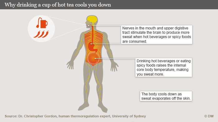 What happens to your body when you drink hot tea?