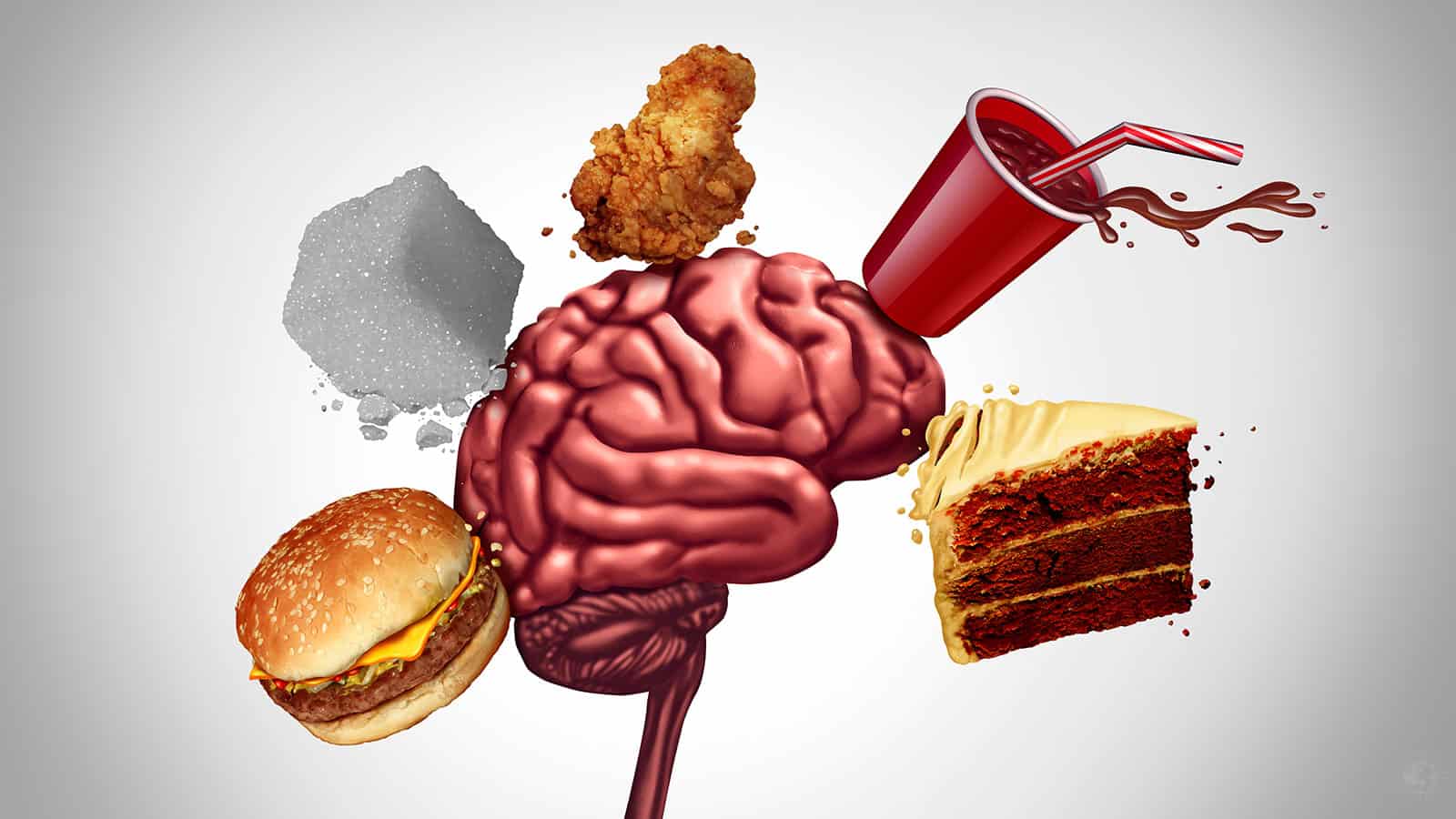 What happens to your brain when you eat fast food?