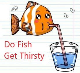 What happens when a fish is thirsty?