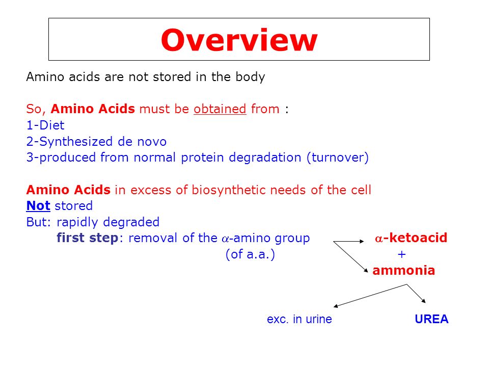 What happens when an amino acid is removed from a protein?